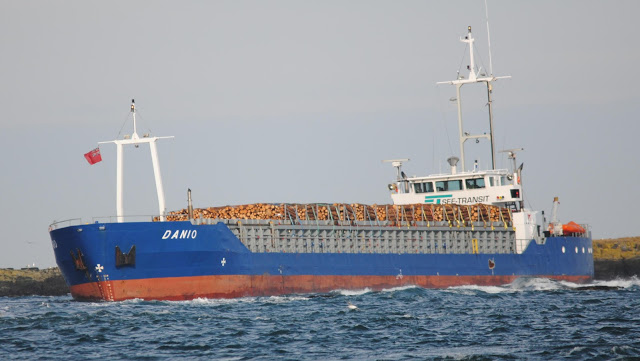 Ship Wrecked ( Danio ) - Serenity Farne Islands Boat Tours and Trips