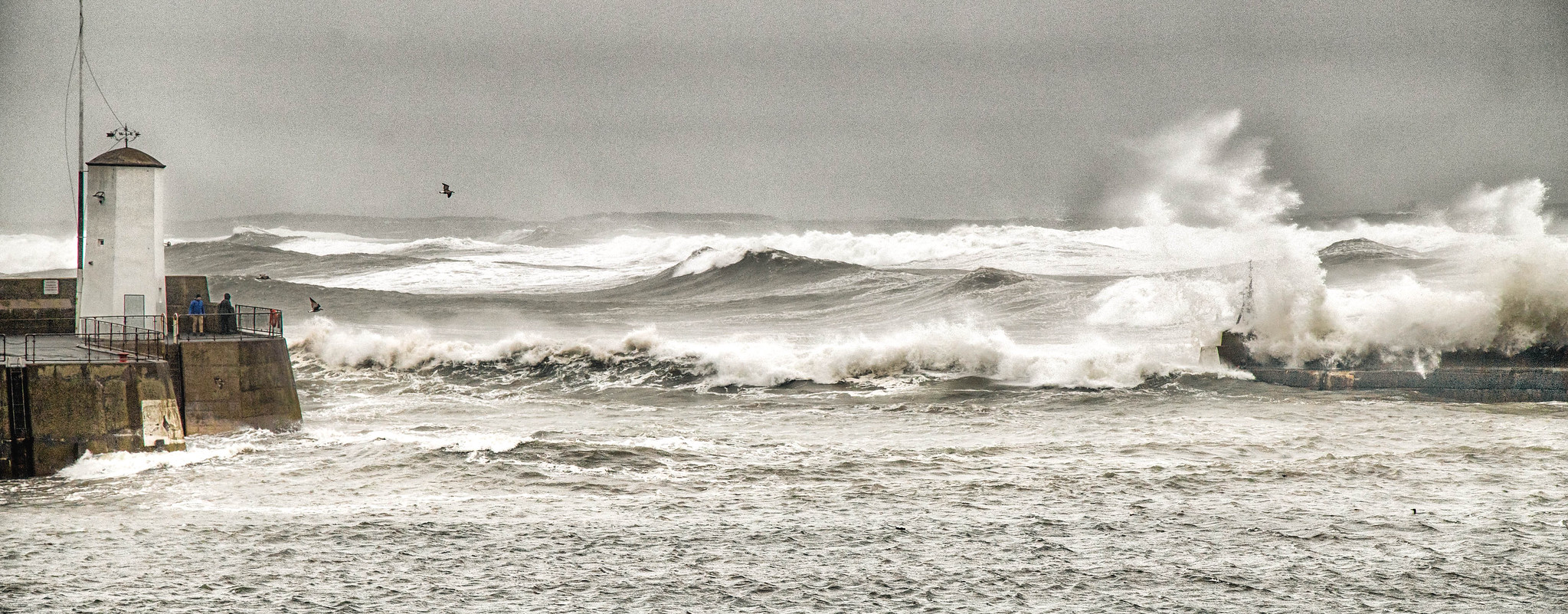 Weathering the Storm (Babet) - Serenity Farne Islands Boat Tours and Trips